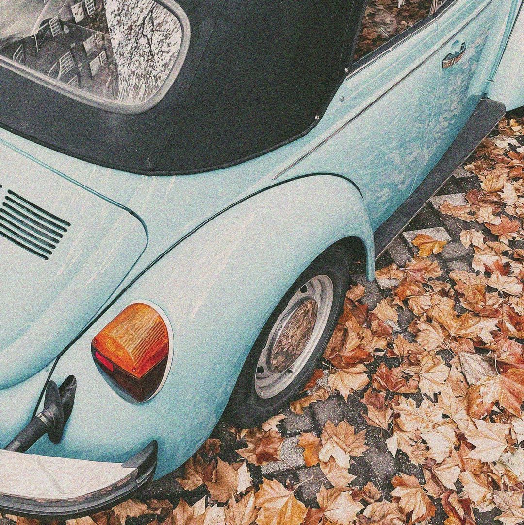 Weekend Vibes, Edition No. 296: On Compliments.