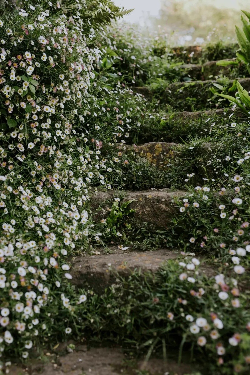 What Makes You Lean Forward?