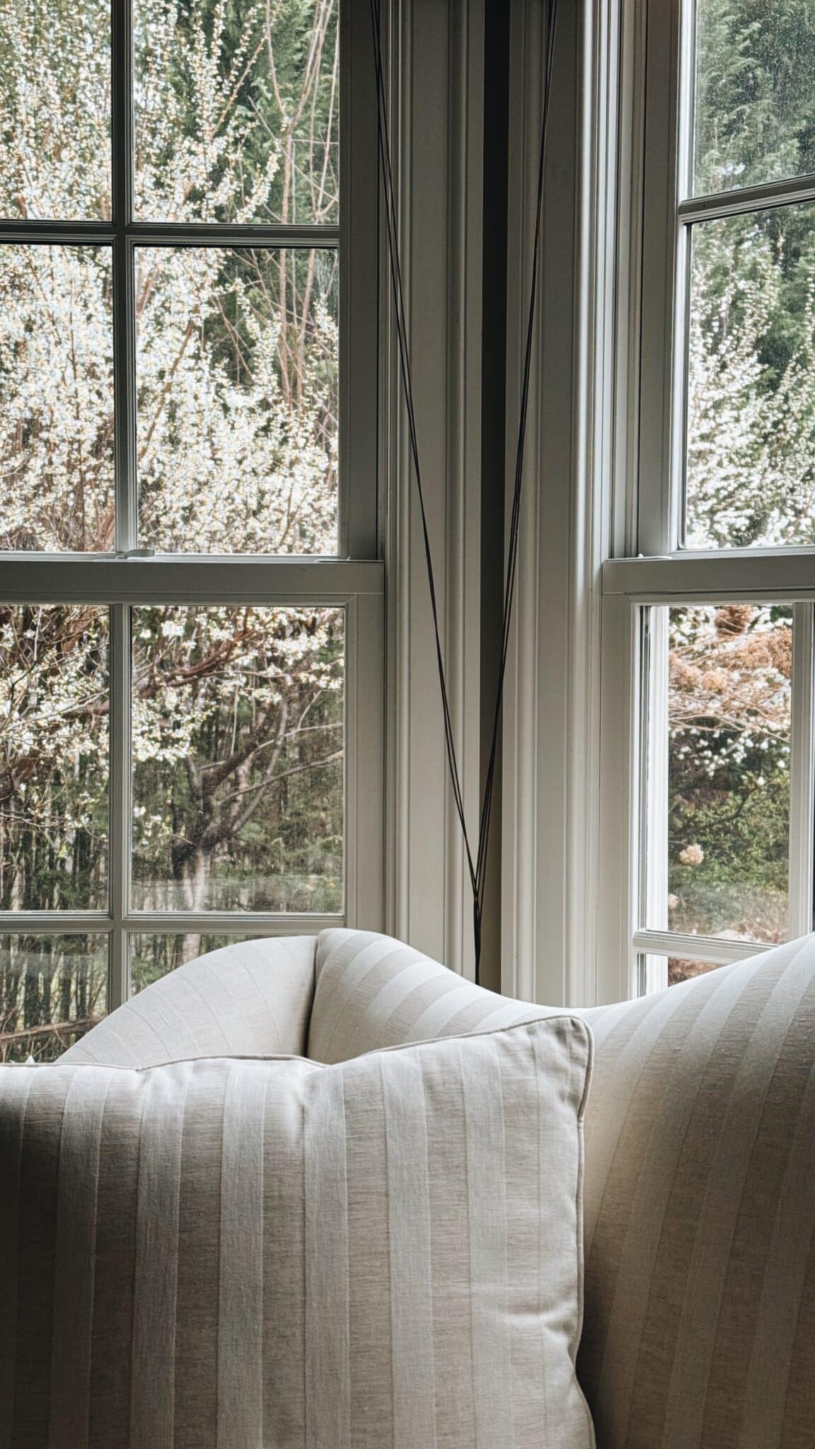 What Are Your Favorite Substacks?