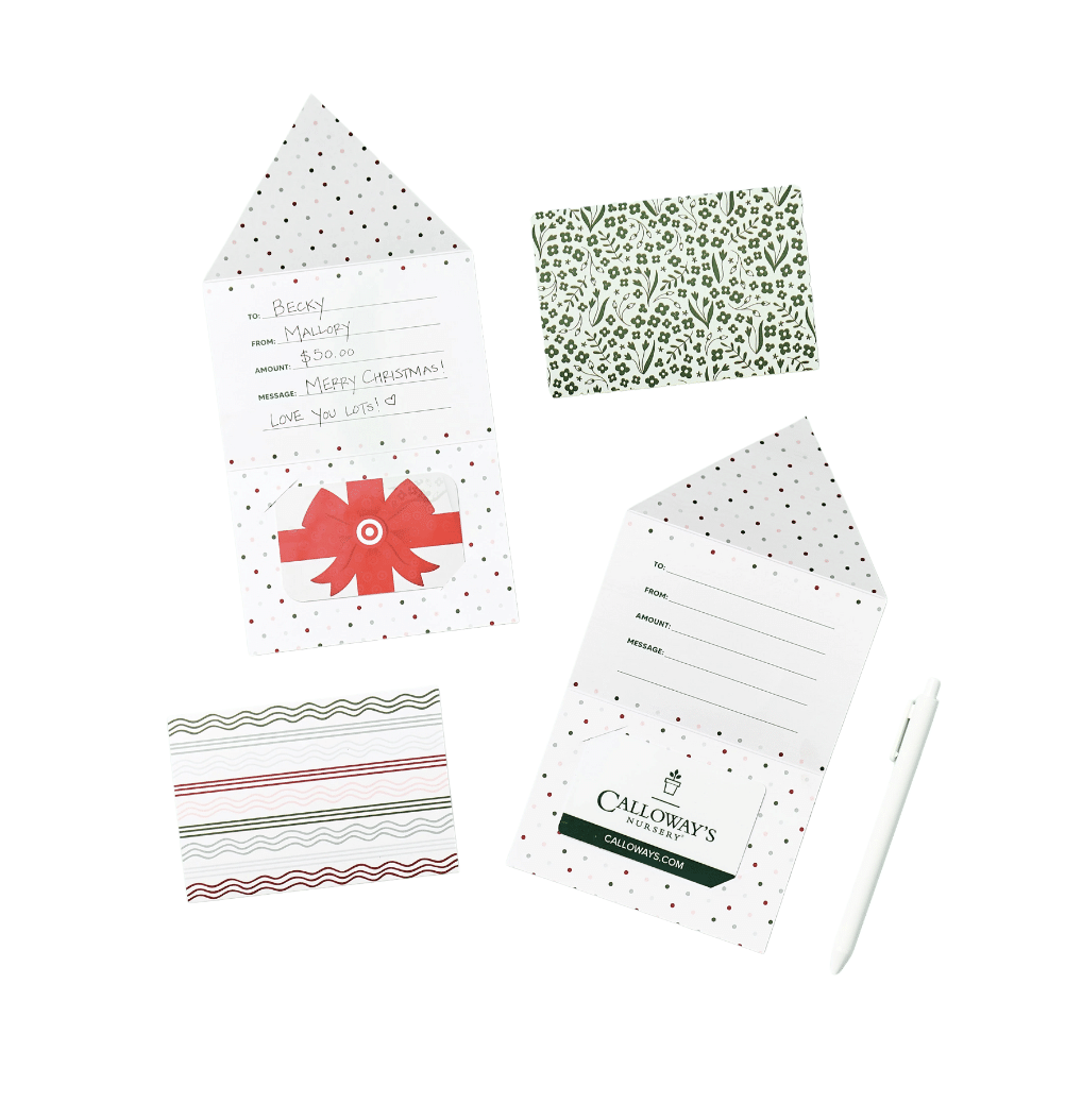 GIFT CARD HOLDERS - Magpie by Jen Shoop