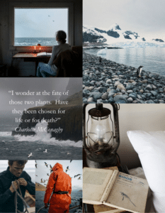 Wild Dark Shore Book Review + Book Club Questions