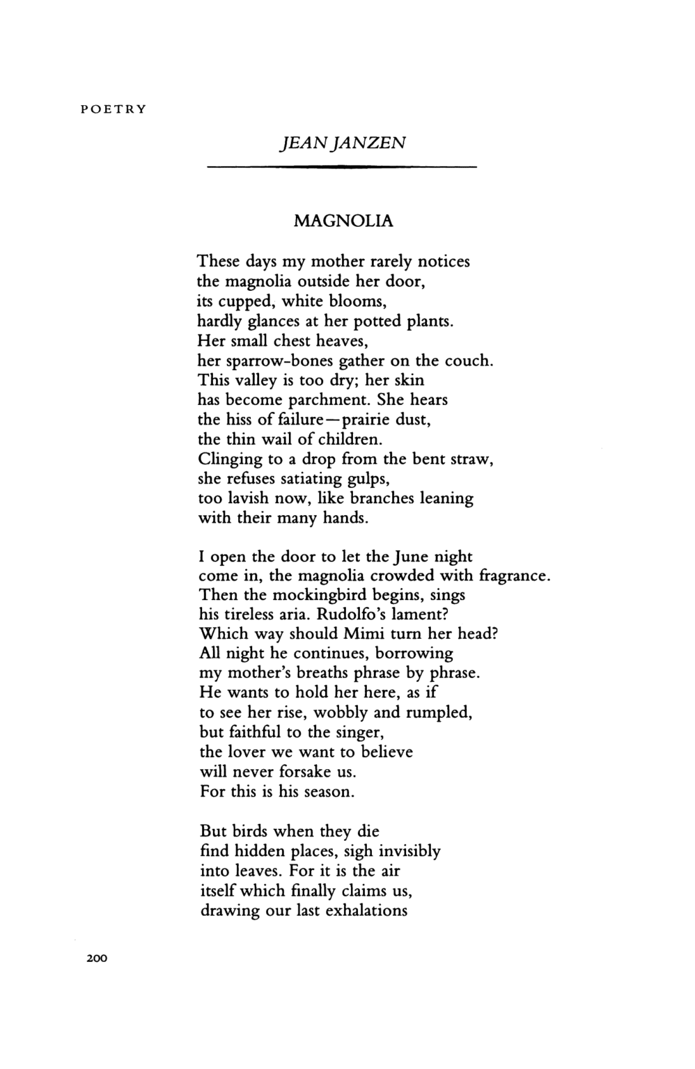 Jen's Weekend Drafts: Magnolias + Musings.