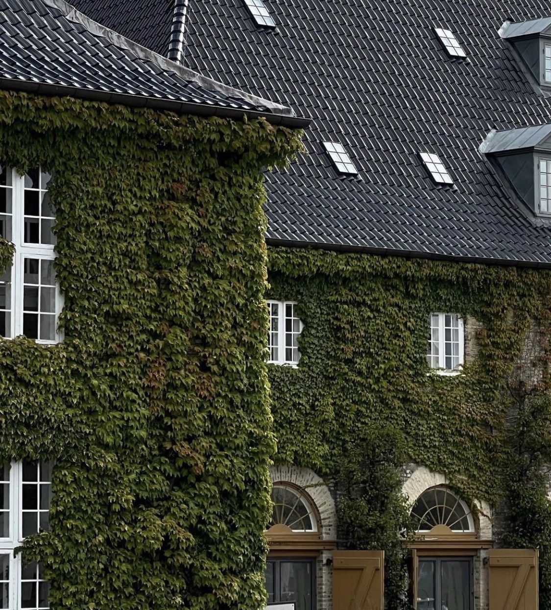 Jen's Weekend Drafts: A Great Peloton Spin + Being Wildly Unchill.