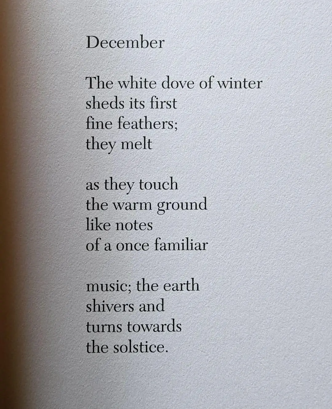 A December Poem + Final Cyber Monday Finds.
